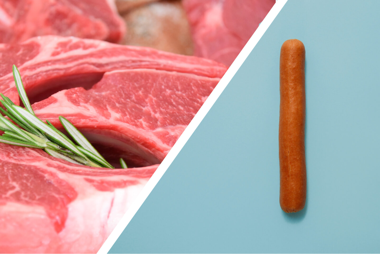 Meat 101: Meat Basics - Kilgus Farmstead